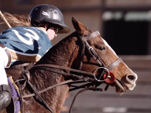 United States Polo Association®